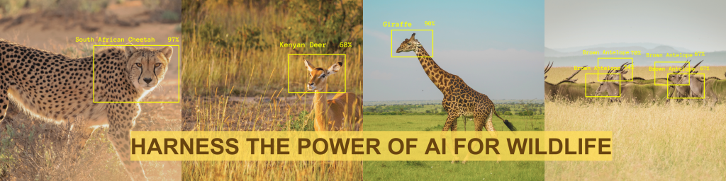 How Technology is Helping with Wildlife Conservation - Animals World